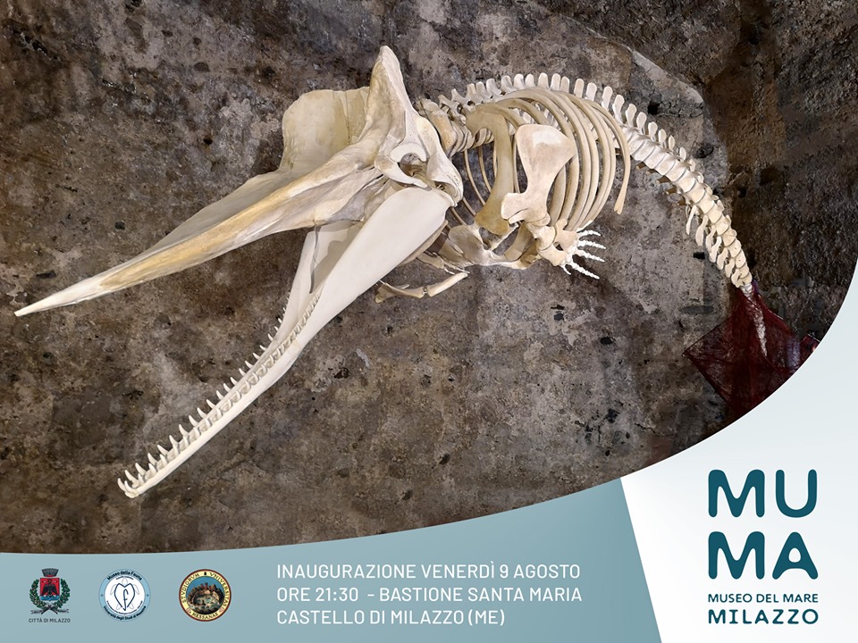 Al Castello di Milazzo inaugurazione del "MuMa" - Museo del Mare